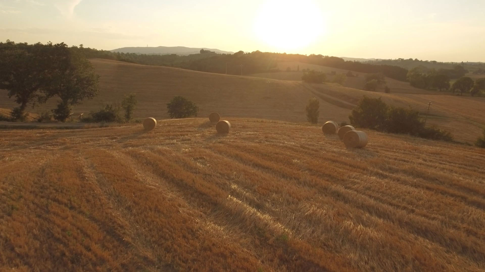 Welcome to Altus Property Group